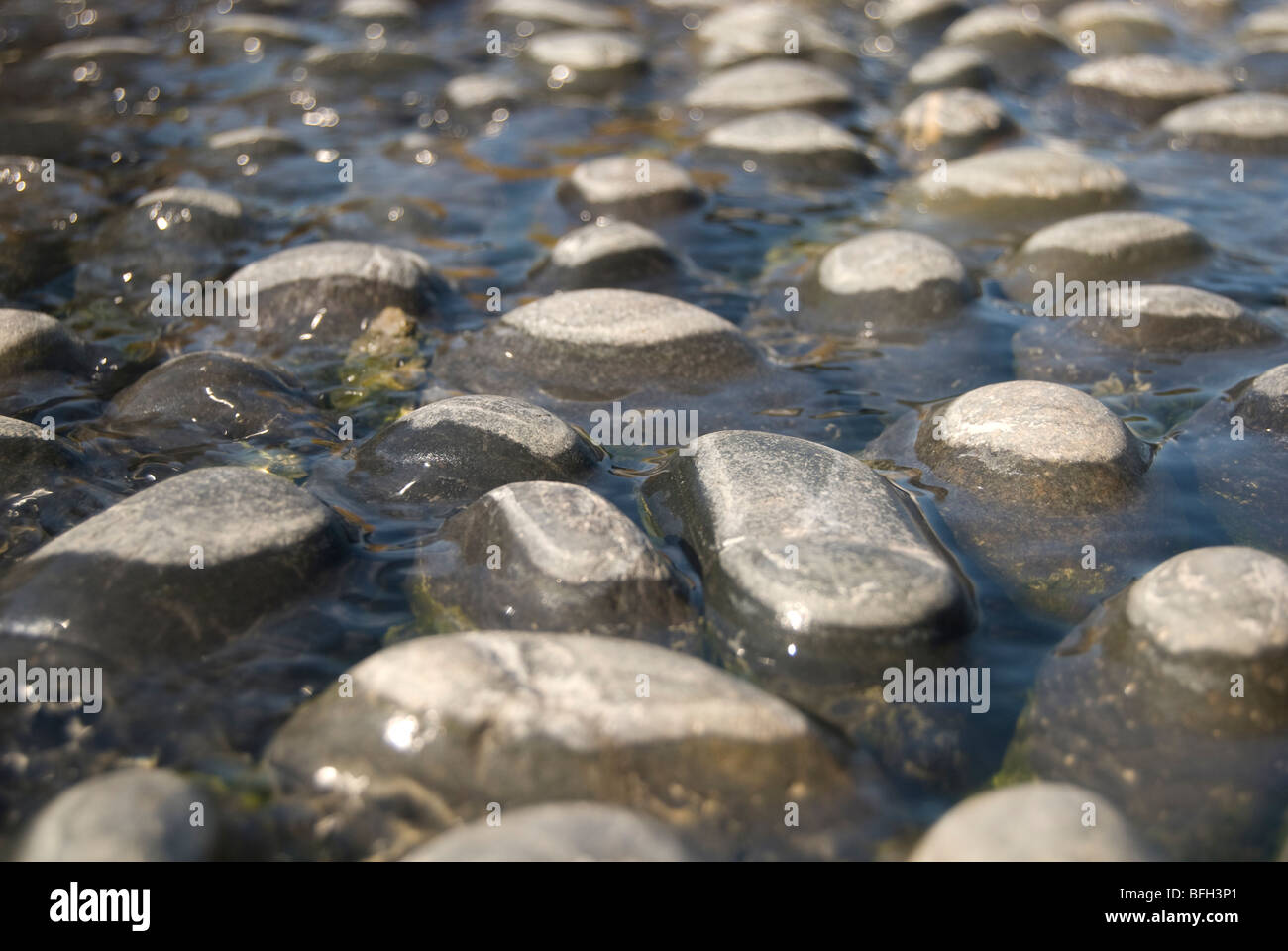 Closeup of rounded stones in flowing water Stock Photo - Alamy