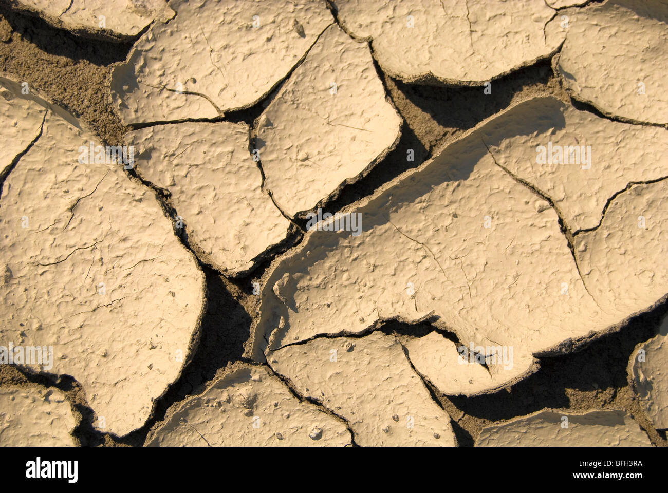 Mud desert hi-res stock photography and images - Alamy