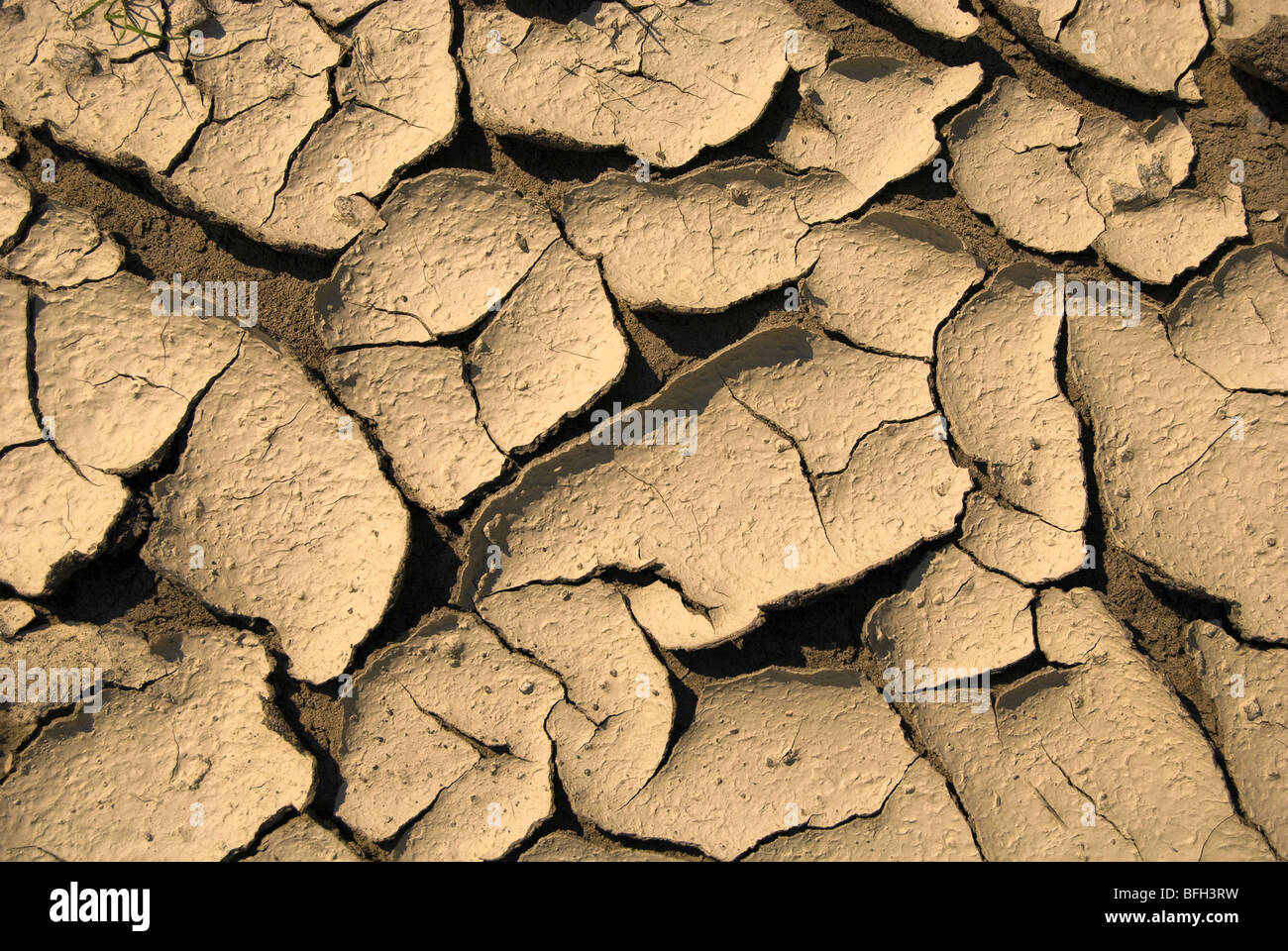 Dry, cracked mud - due to drought Stock Photo - Alamy
