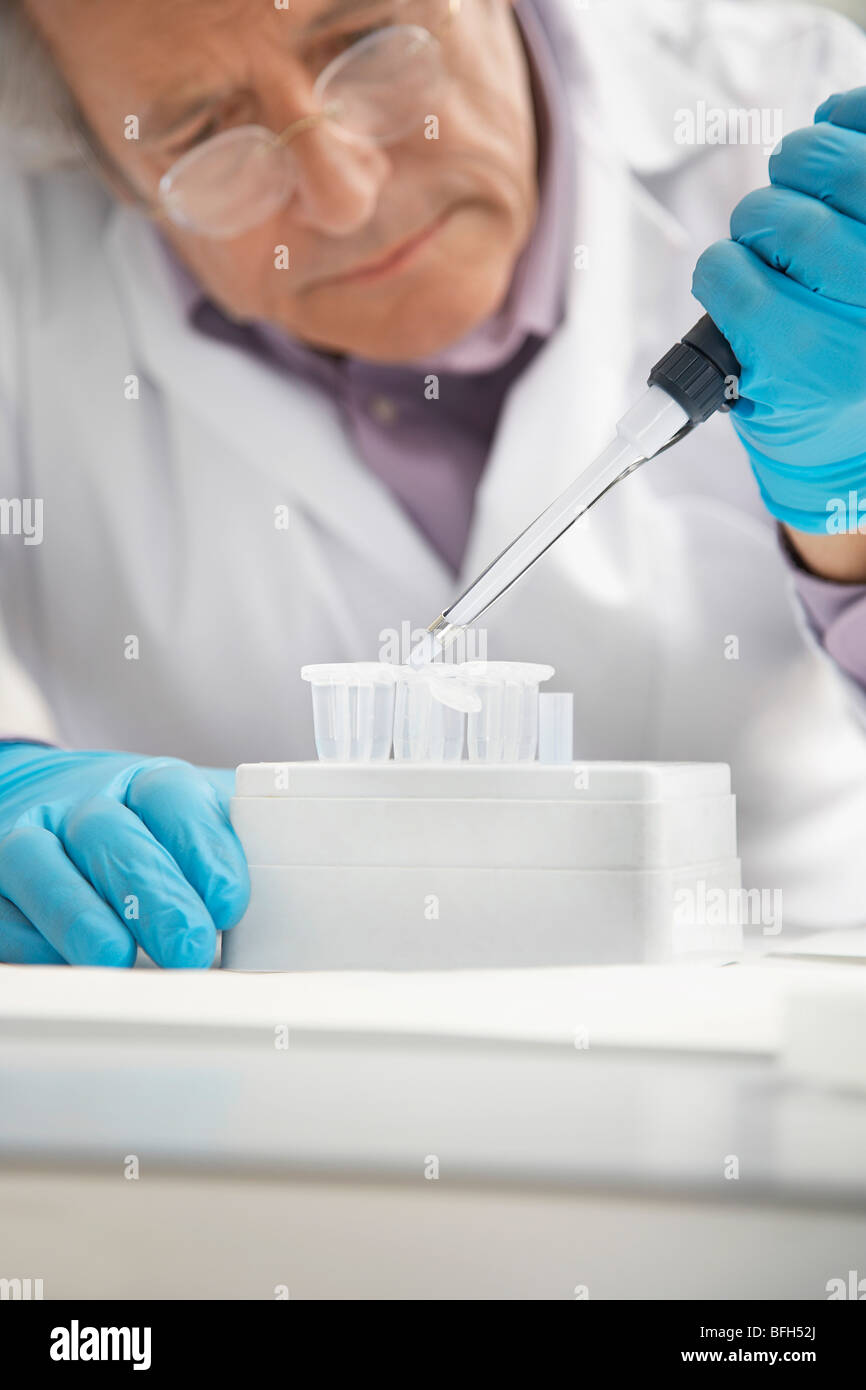 Scientist filling test tubes with pipette in laboratory Stock Photo - Alamy