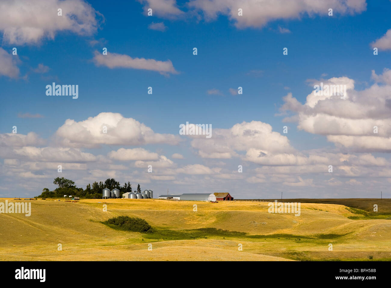 Wymark hi-res stock photography and images - Alamy