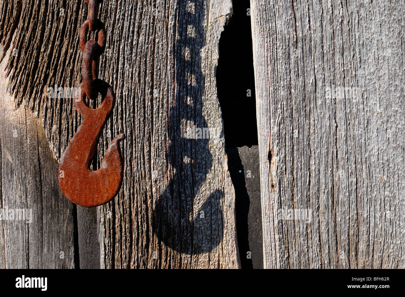 Robert hook hi-res stock photography and images - Alamy