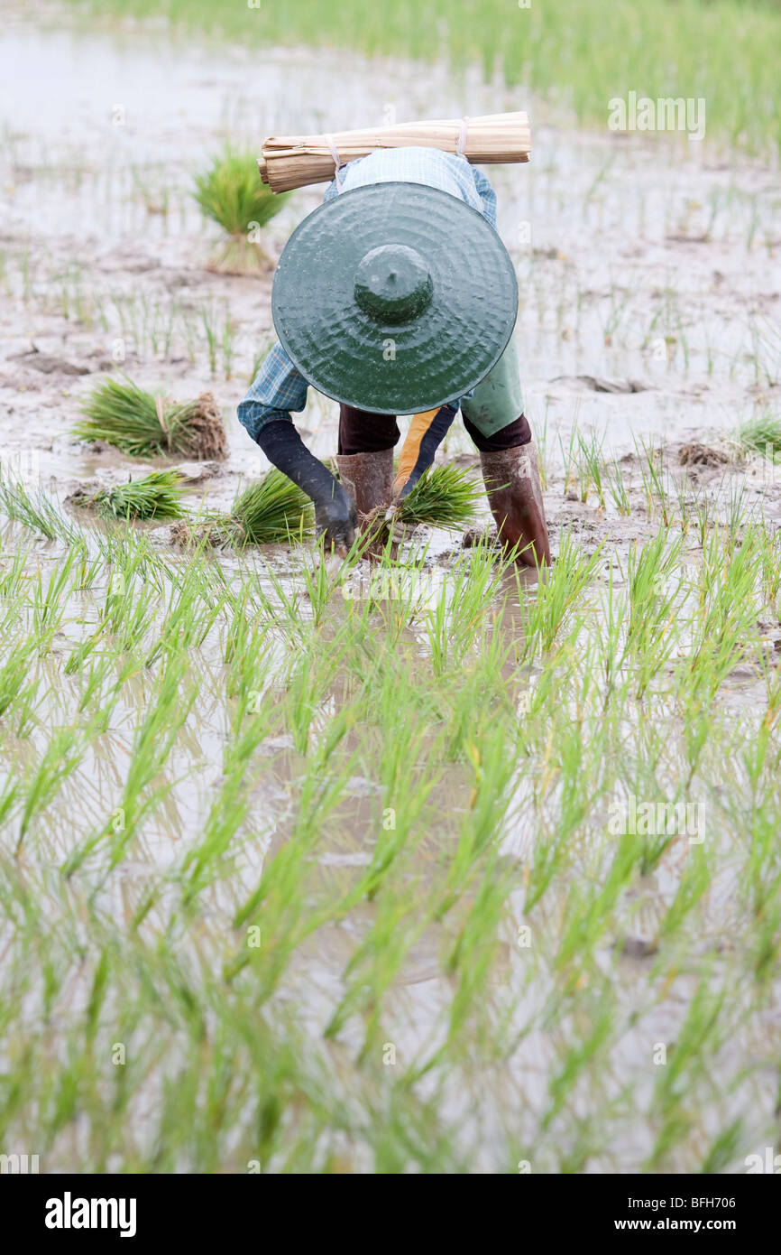 Myanmar shan state girl hi-res stock photography and images - Alamy