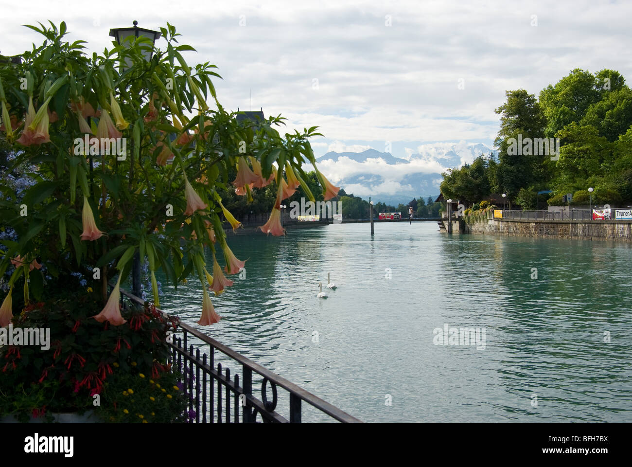 riverside avenue in the town of Thun, Switzerland Alps, Europe Stock ...