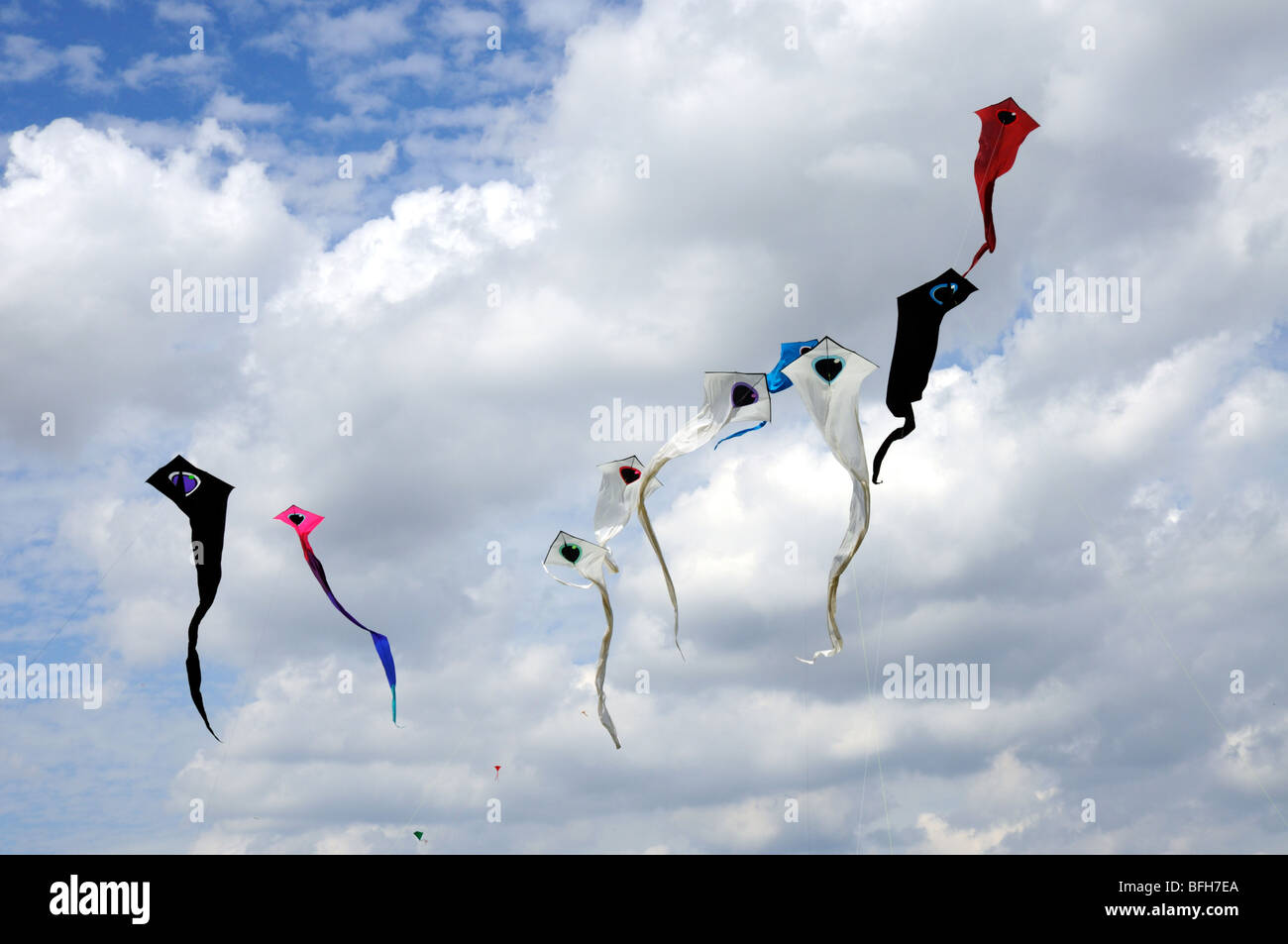 Display kites hi-res stock photography and images - Alamy