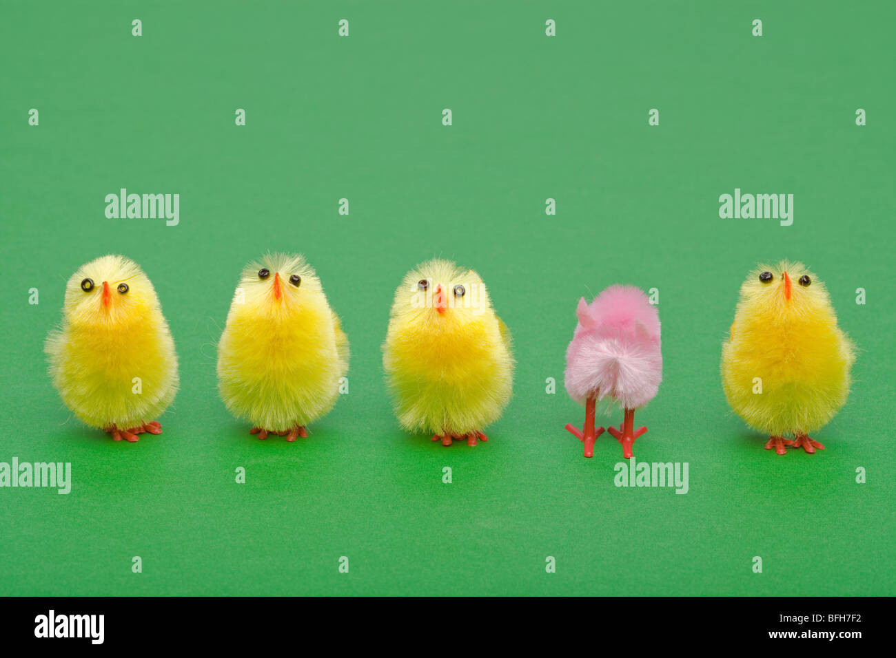 A line of easter chicks, one facing a different way to the others Stock ...