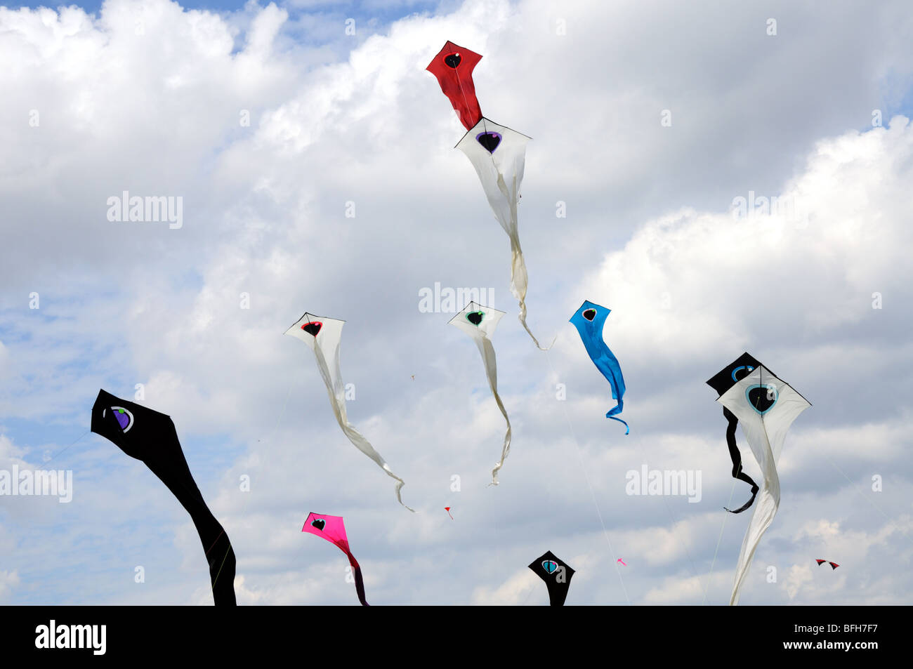 Display kite hi-res stock photography and images - Alamy