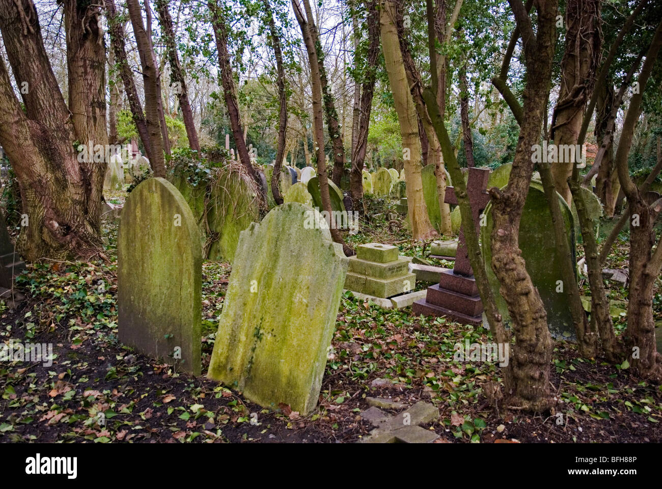 Graves at Highgate cemetery in London England UK Stock Photo - Alamy