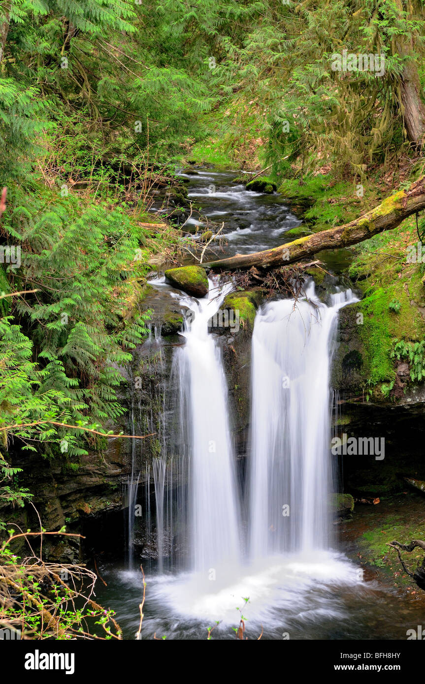 Waterfall at Stocking Creek Park in Saltair, BC. Vertical Stock Photo ...
