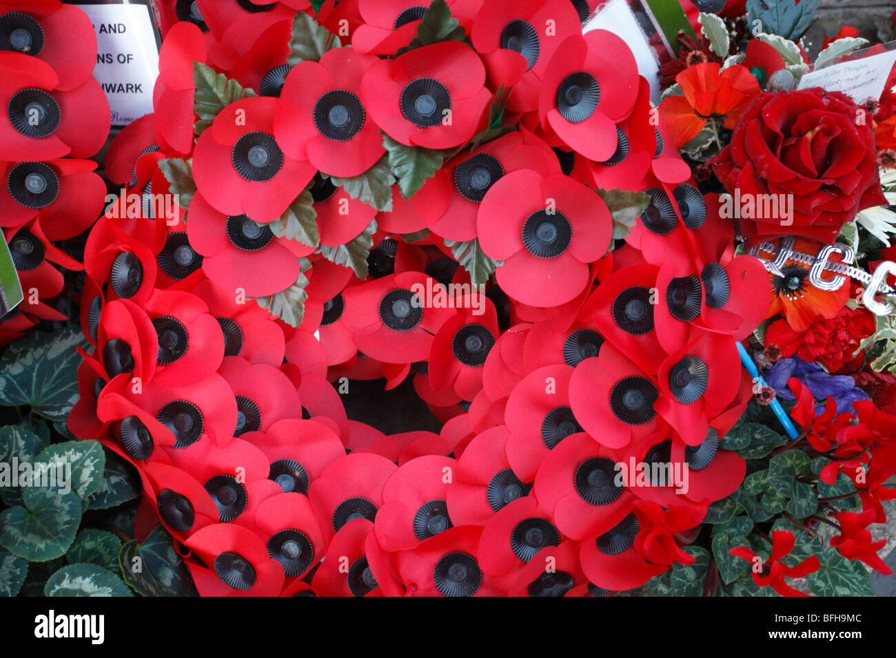 Poppy wreath tribute hi-res stock photography and images - Alamy
