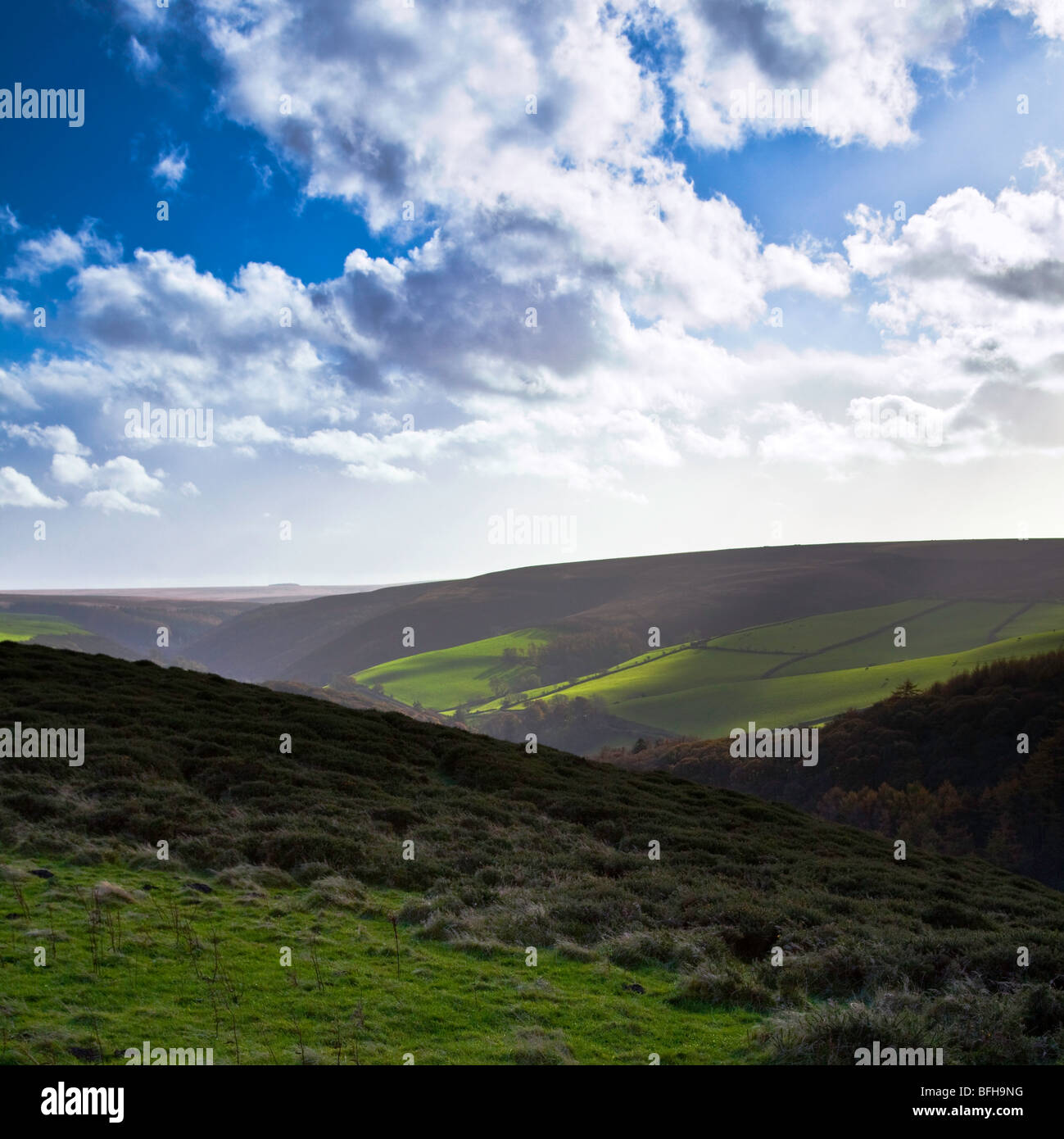 Devon and somerset border hi-res stock photography and images - Alamy