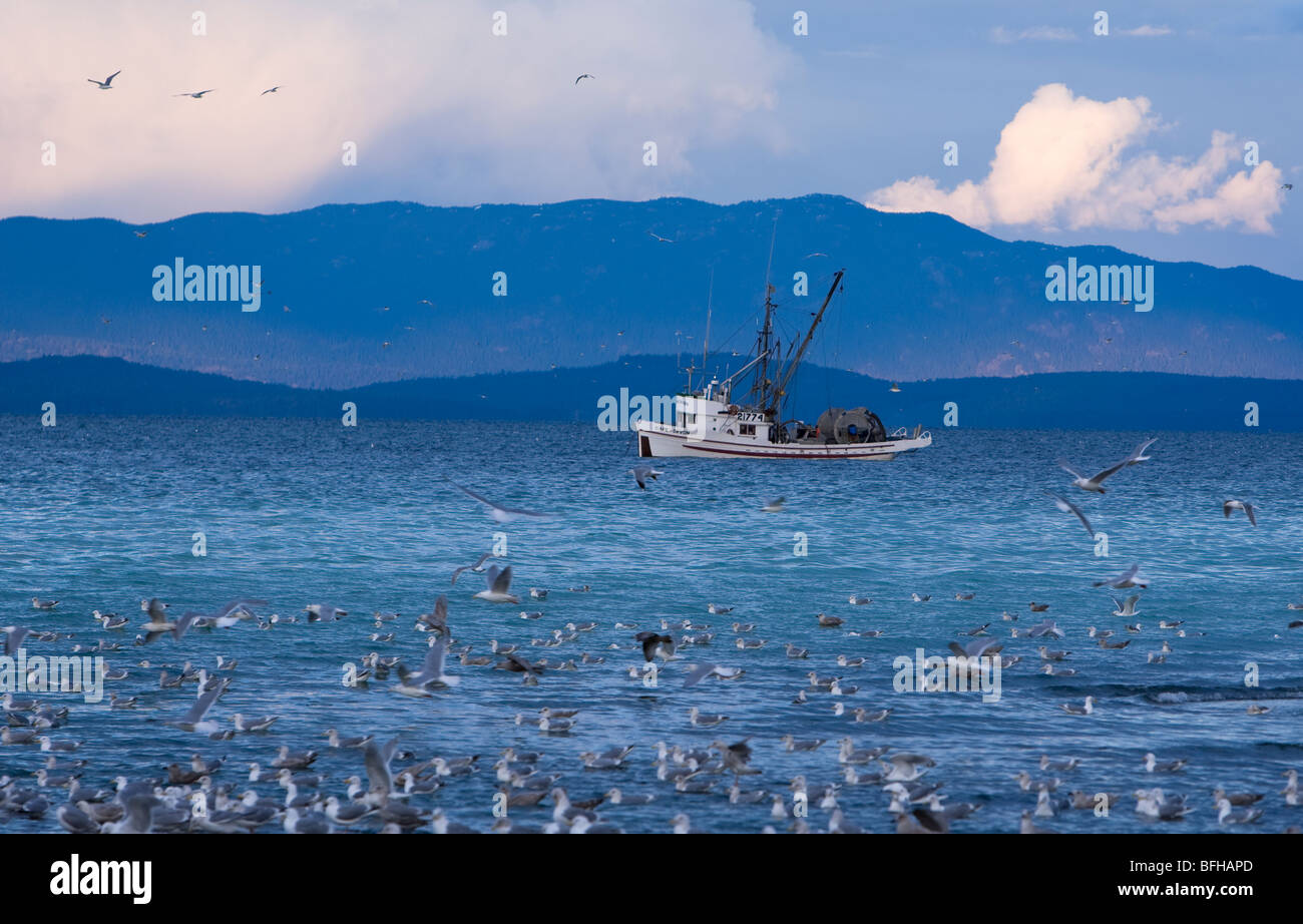 A seine boat waiting, Georgia Strait. Bowser, Central Vancouver Island ...