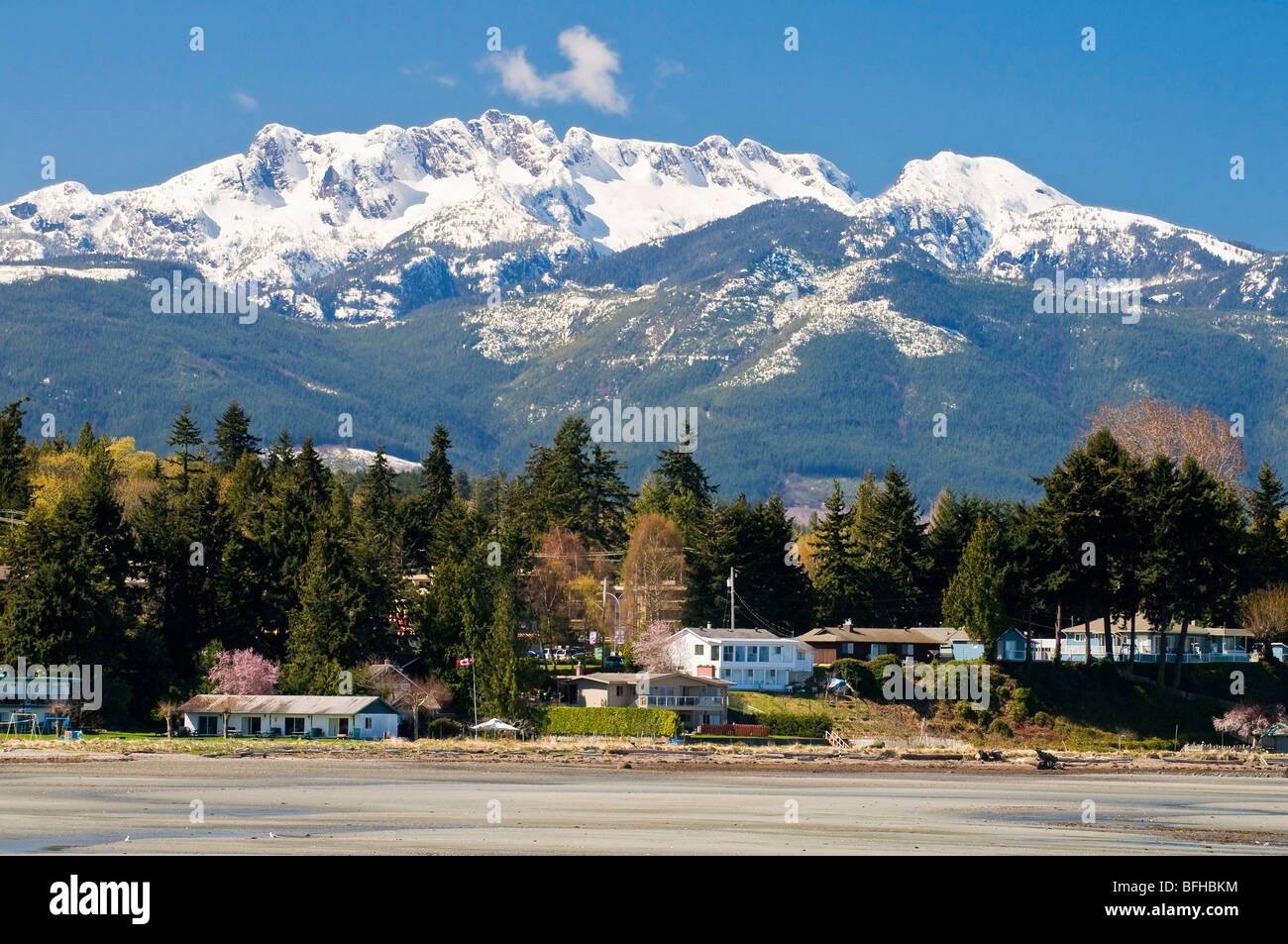 Arrowsmith hi-res stock photography and images - Alamy