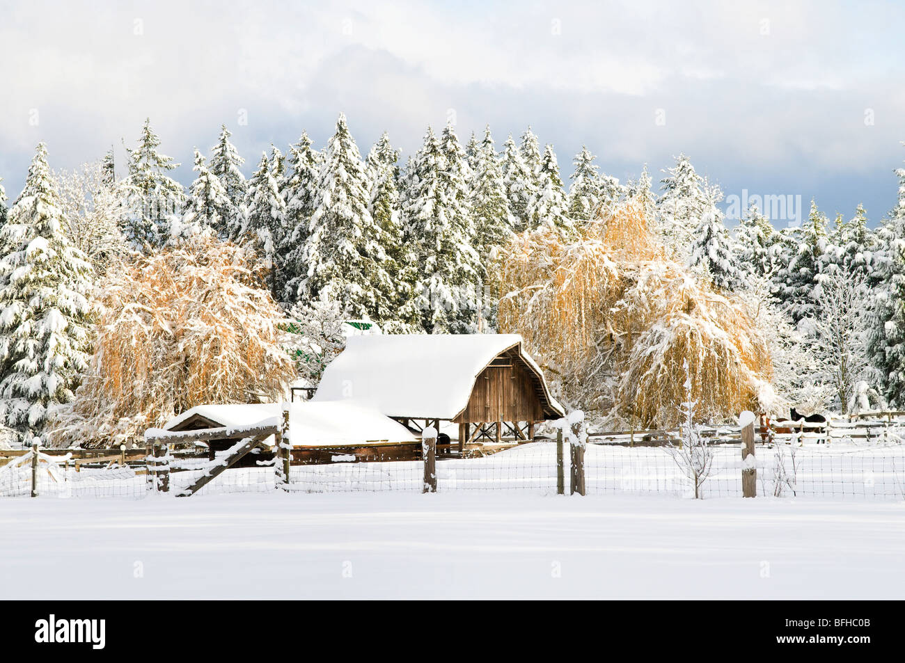 Rural wintry scenes hi-res stock photography and images - Alamy