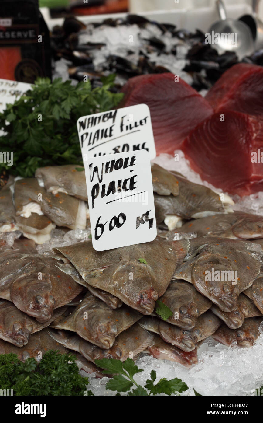 Whole Plaice fresh fish for sale at Borough Market London Stock Photo ...