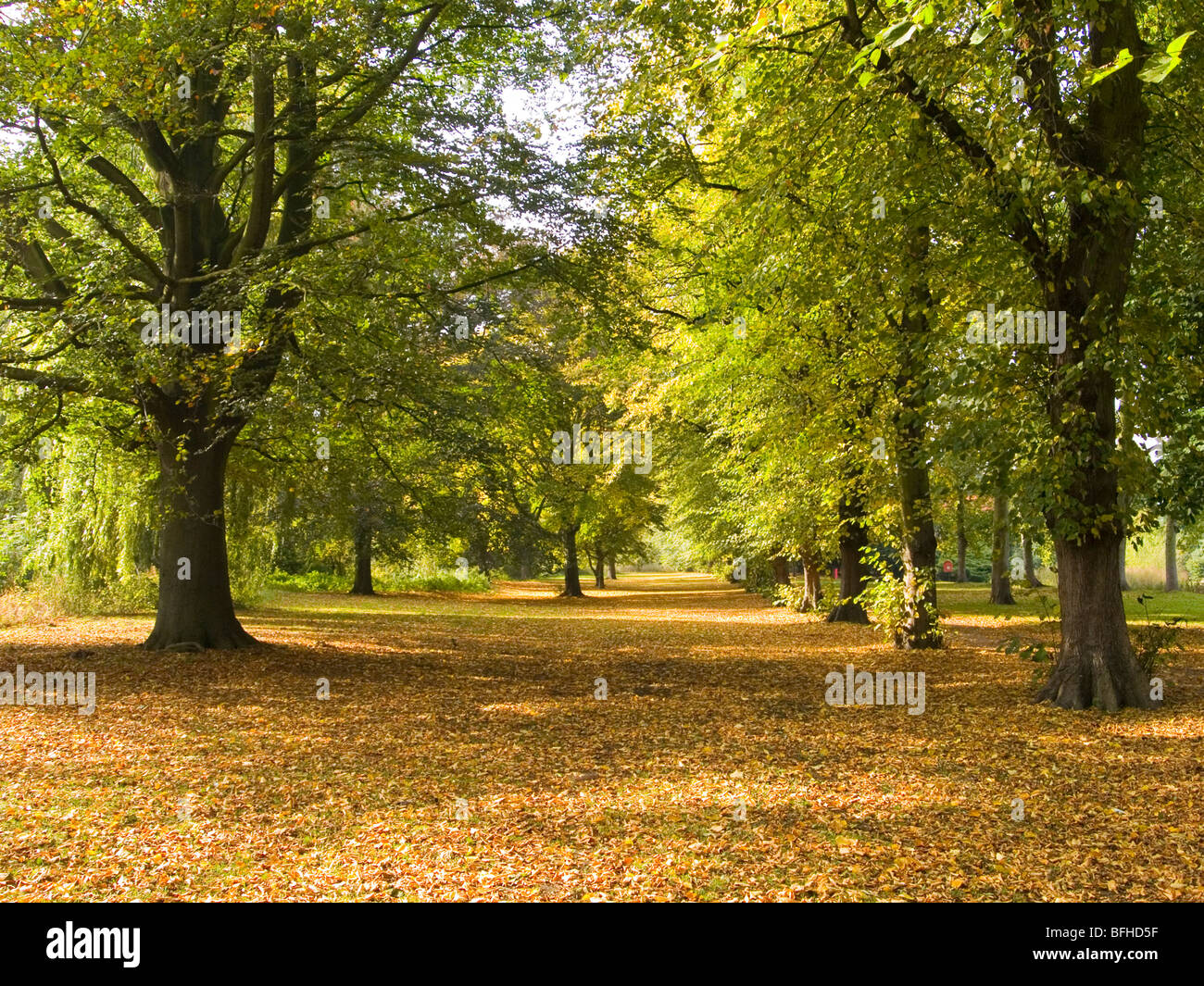 Autumn at Highfields Park in Nottingham, Nottinghamshire England UK ...