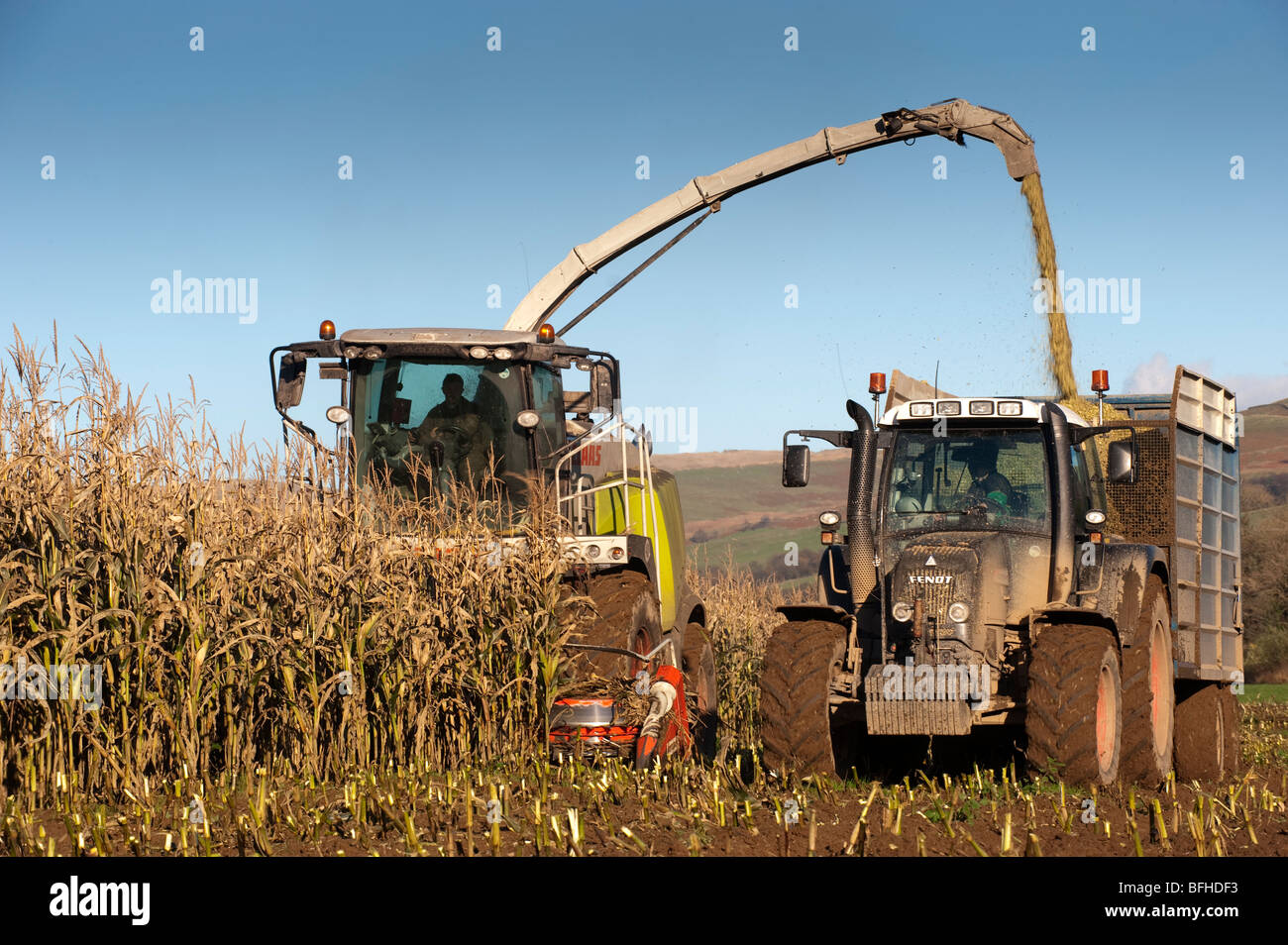 Harvesting Maize silage using a Claas 970 self propelled forage ...