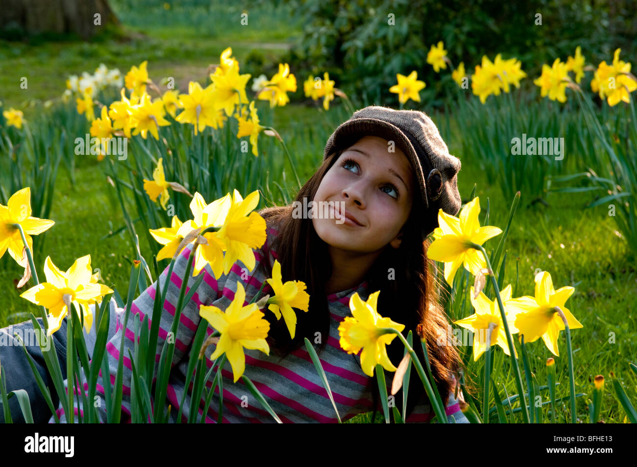 Daffs hi-res stock photography and images - Alamy