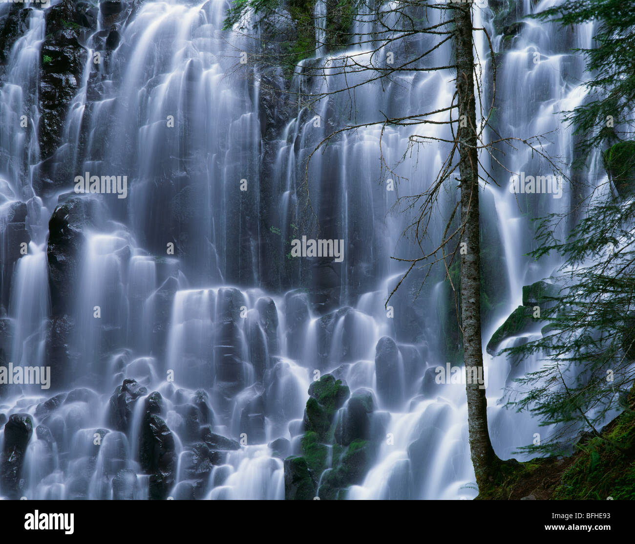 Mount Hood National Forest Cascade Range Clackamas County Ramona falls ...