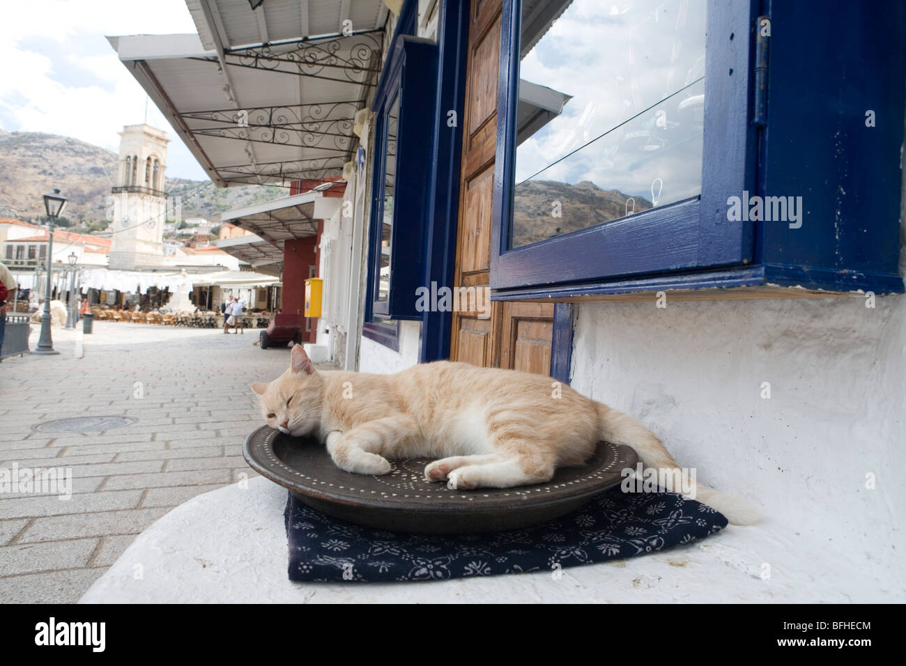Cats of Greece Stock Photo - Alamy