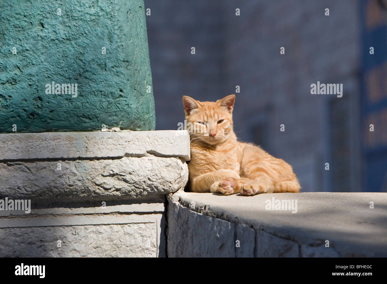 Cats of Greece Stock Photo - Alamy