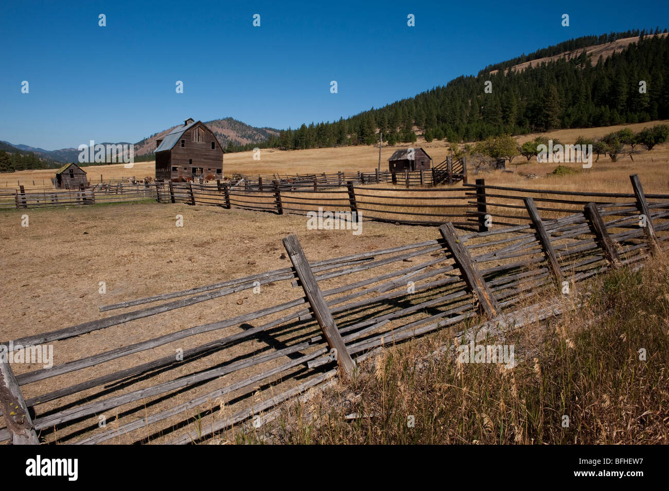 Old barn on cattle ranch hi-res stock photography and images - Alamy