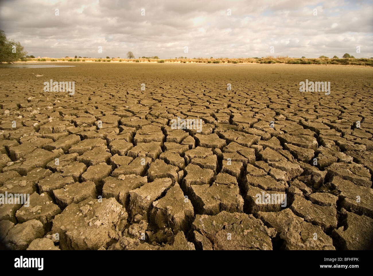 Rain water pond desert hi-res stock photography and images - Alamy
