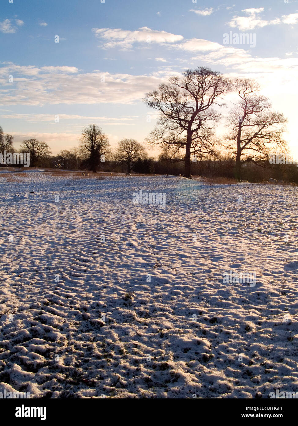 Nottinghamshire countryside hi-res stock photography and images - Alamy