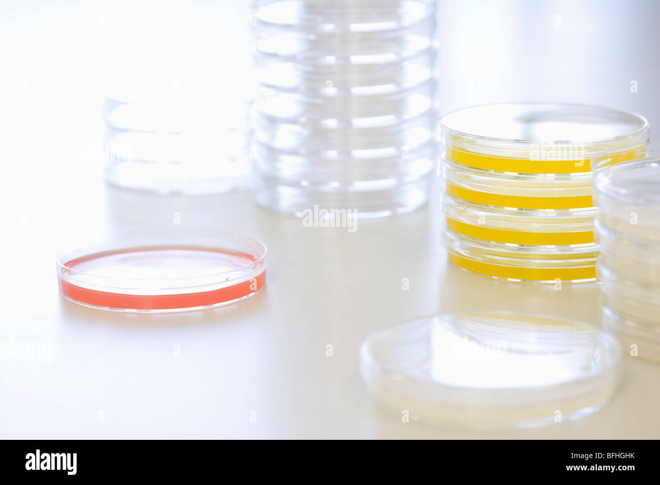 Petri dish stack hi-res stock photography and images - Alamy