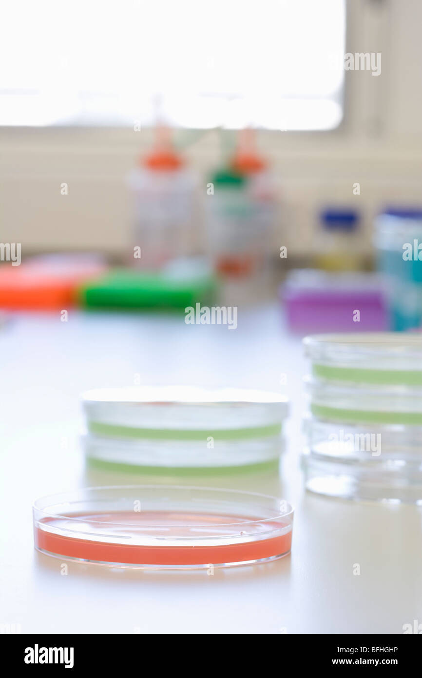 Petri dishes stack hi-res stock photography and images - Alamy