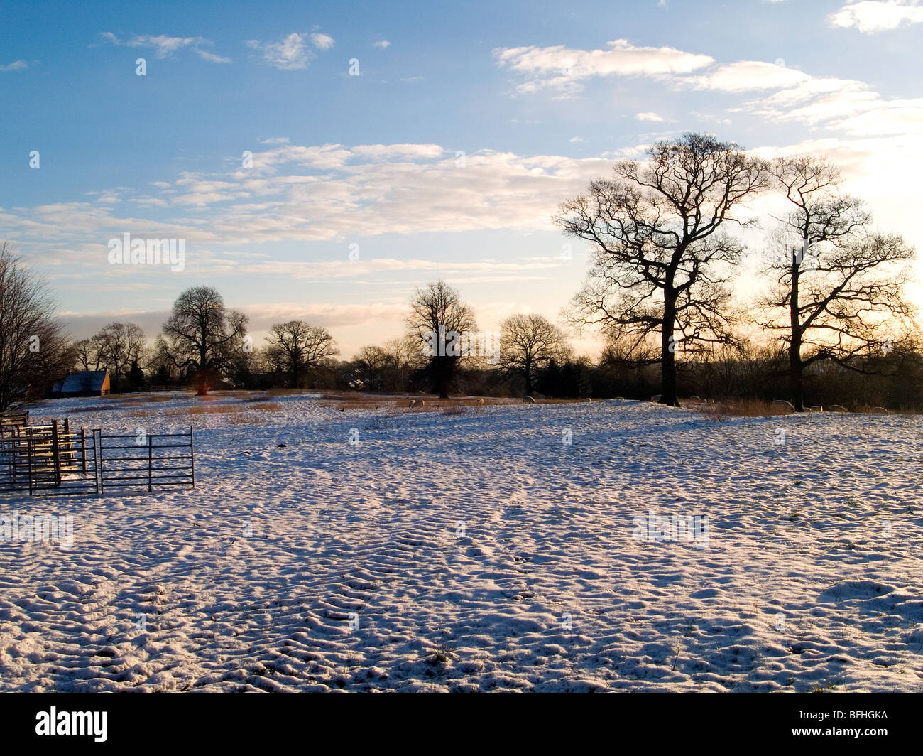 Farm yard winter uk hi-res stock photography and images - Alamy
