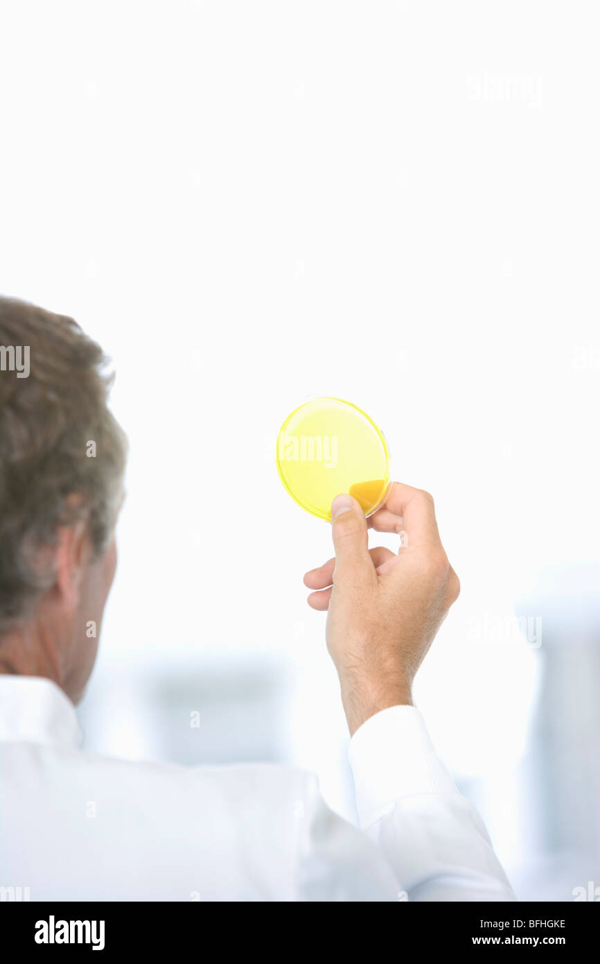 Scientist holding sample in laboratory Stock Photo - Alamy
