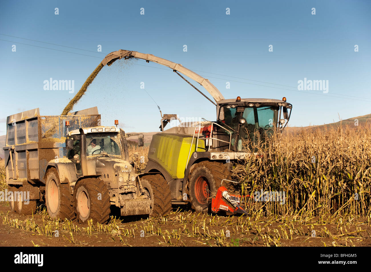 Harvesting Maize silage using a Claas 970 self propelled forage ...