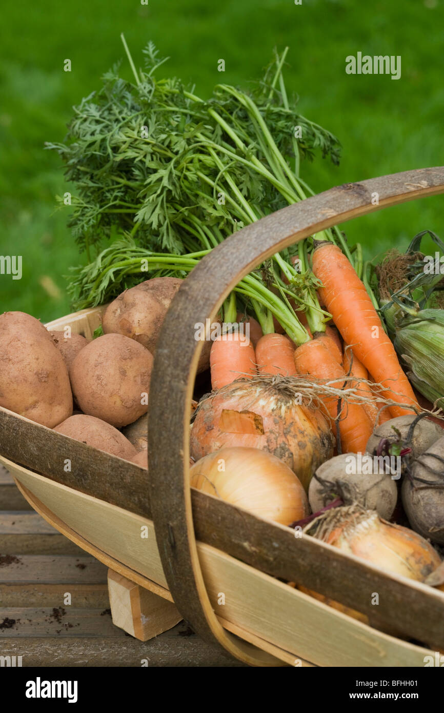 Basket of Vegetables Stock Photo - Alamy