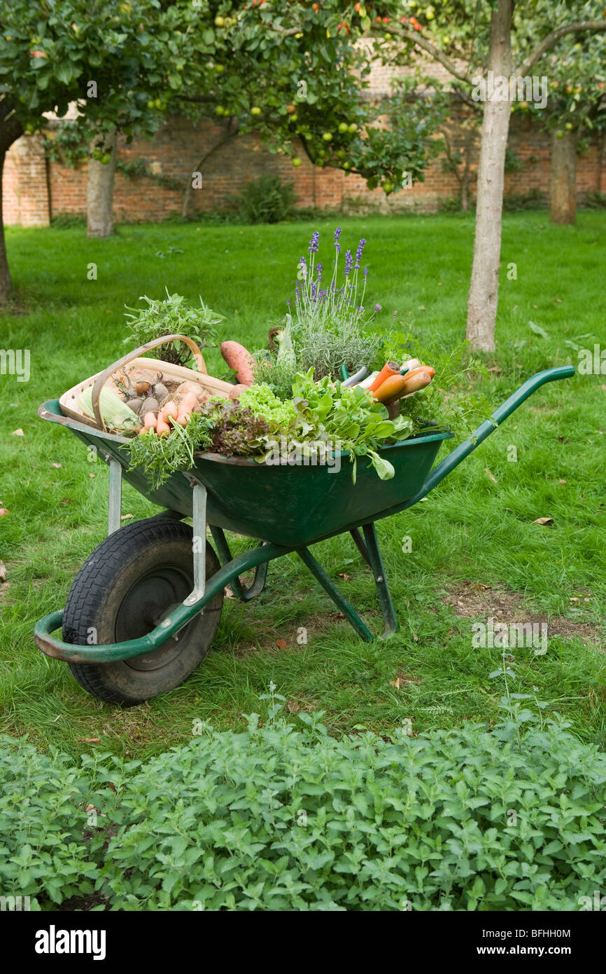 Wheelbarrow Full of Vegetables Stock Photo - Alamy