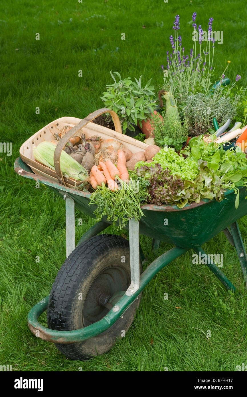 Wheelbarrow Full of Vegetables Stock Photo - Alamy