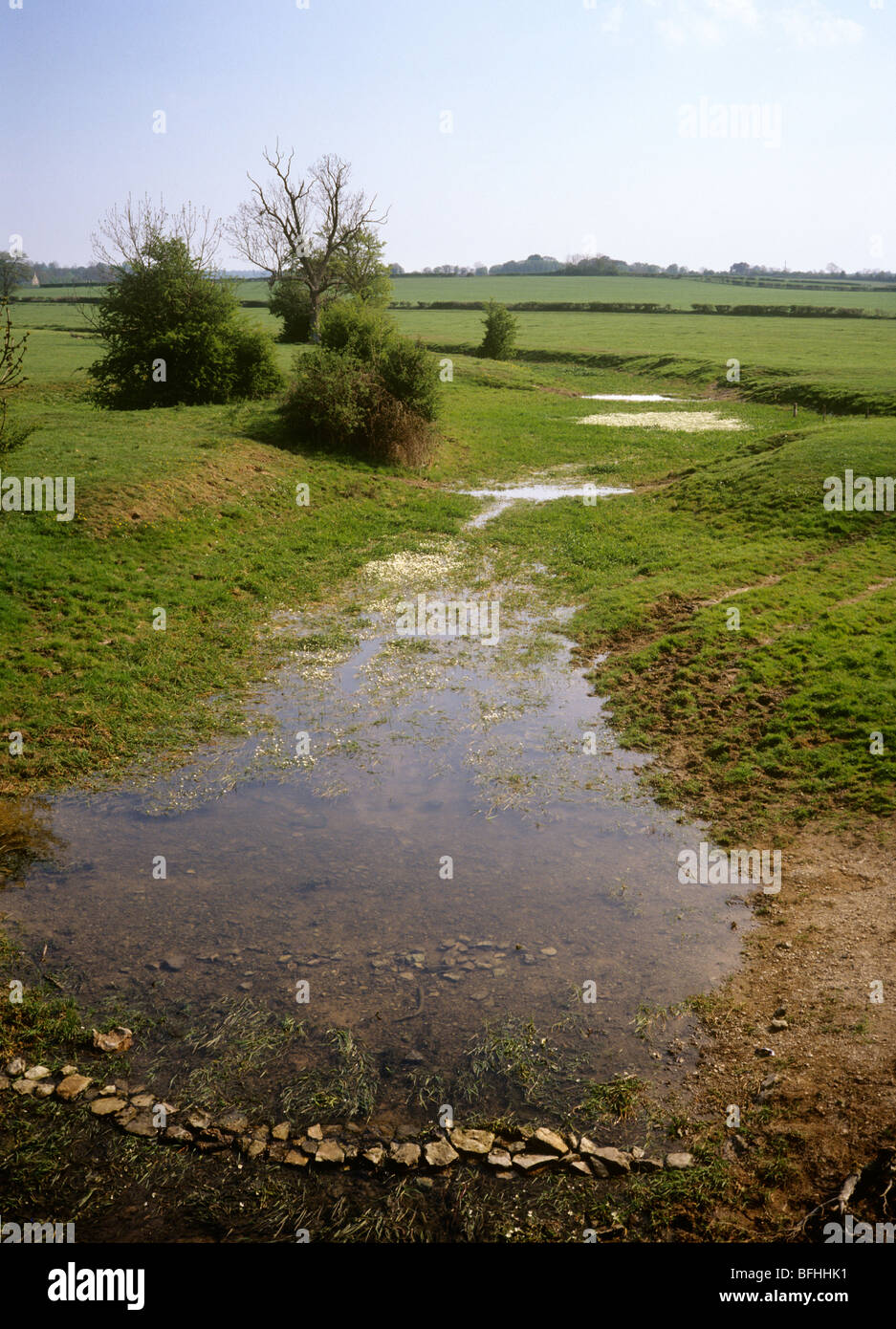Source of the thames hi-res stock photography and images - Alamy