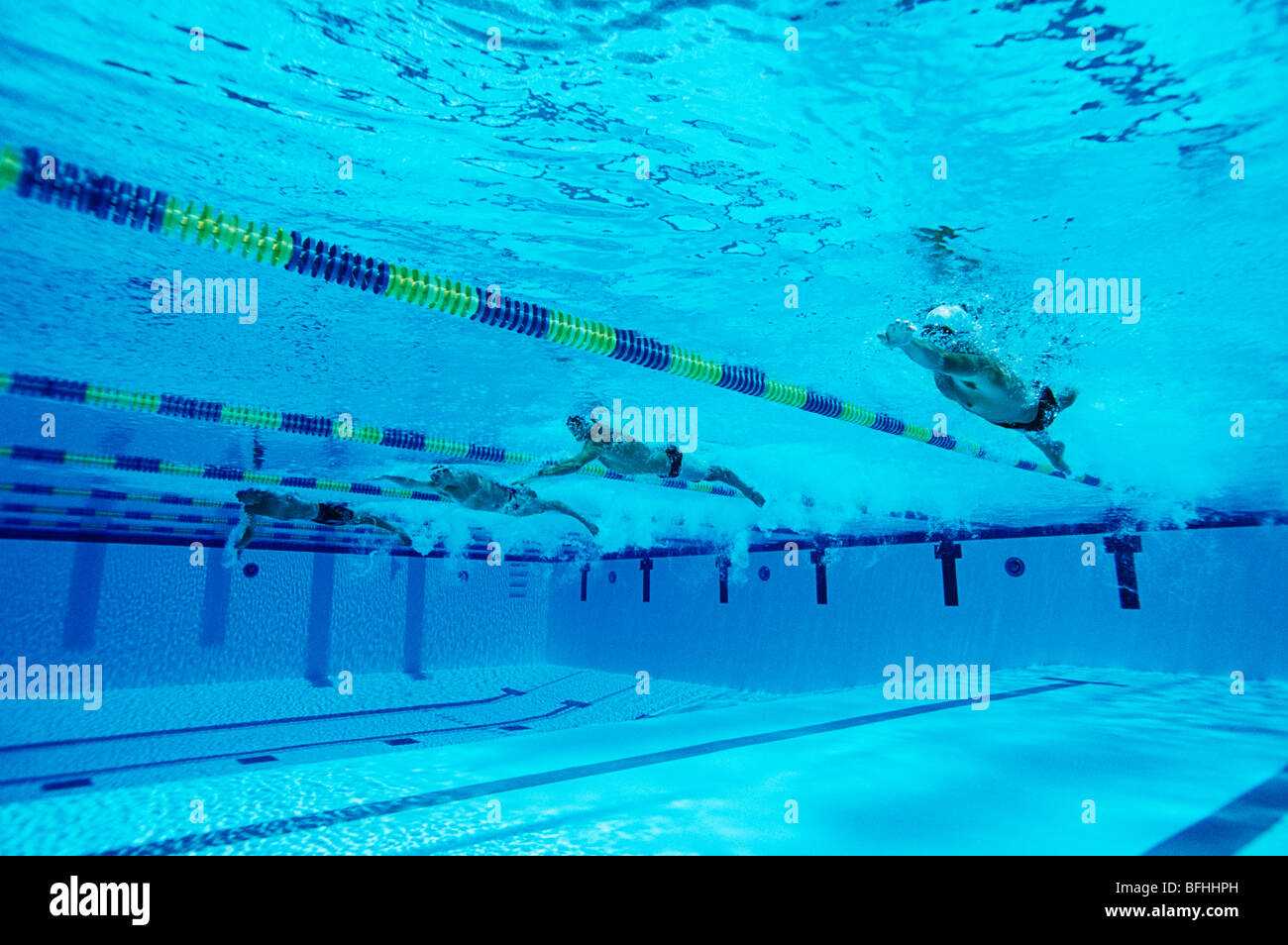 Male swimmers racing in pool, underwater view Stock Photo - Alamy