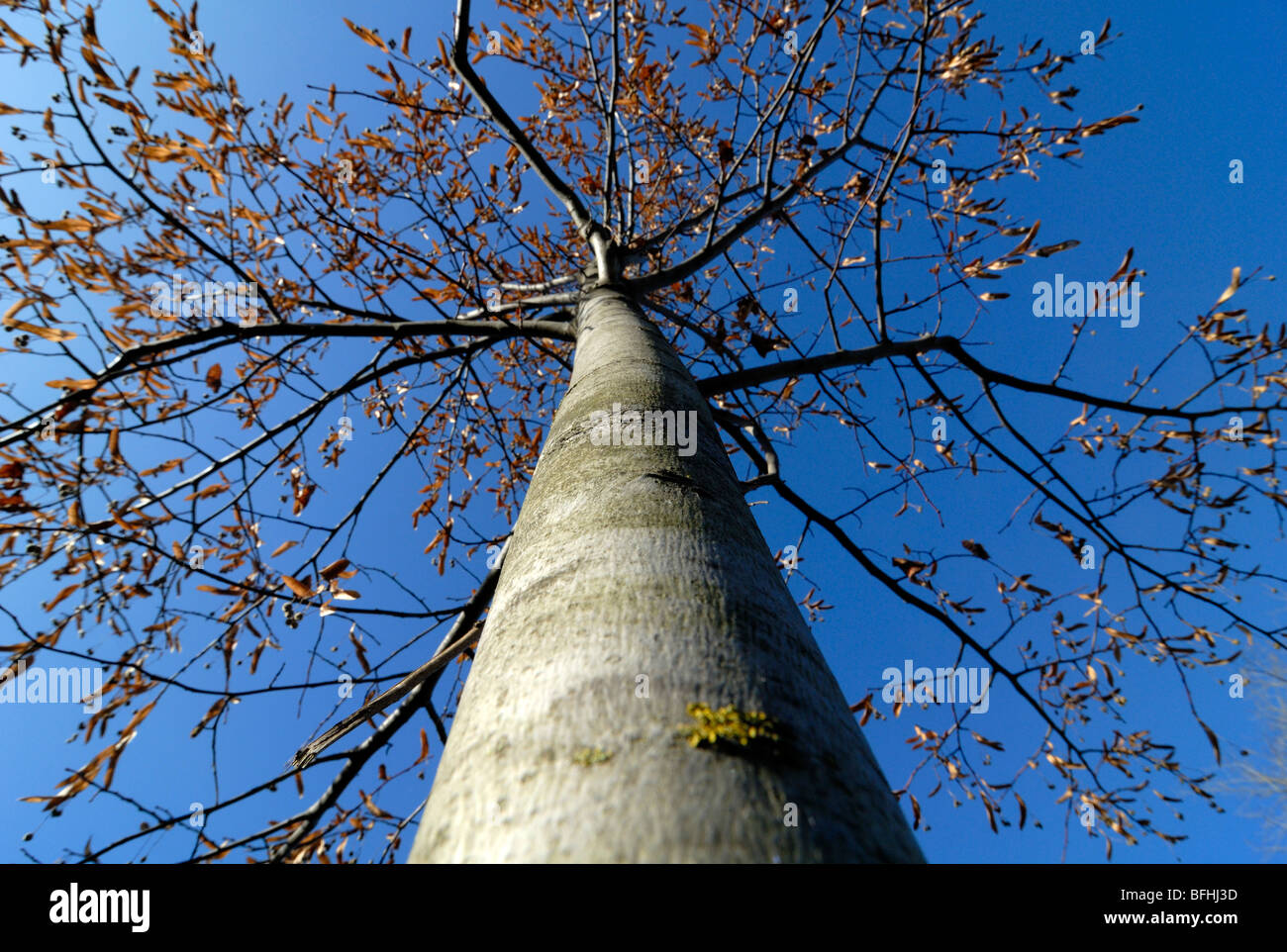 Colours of autumn Stock Photo - Alamy