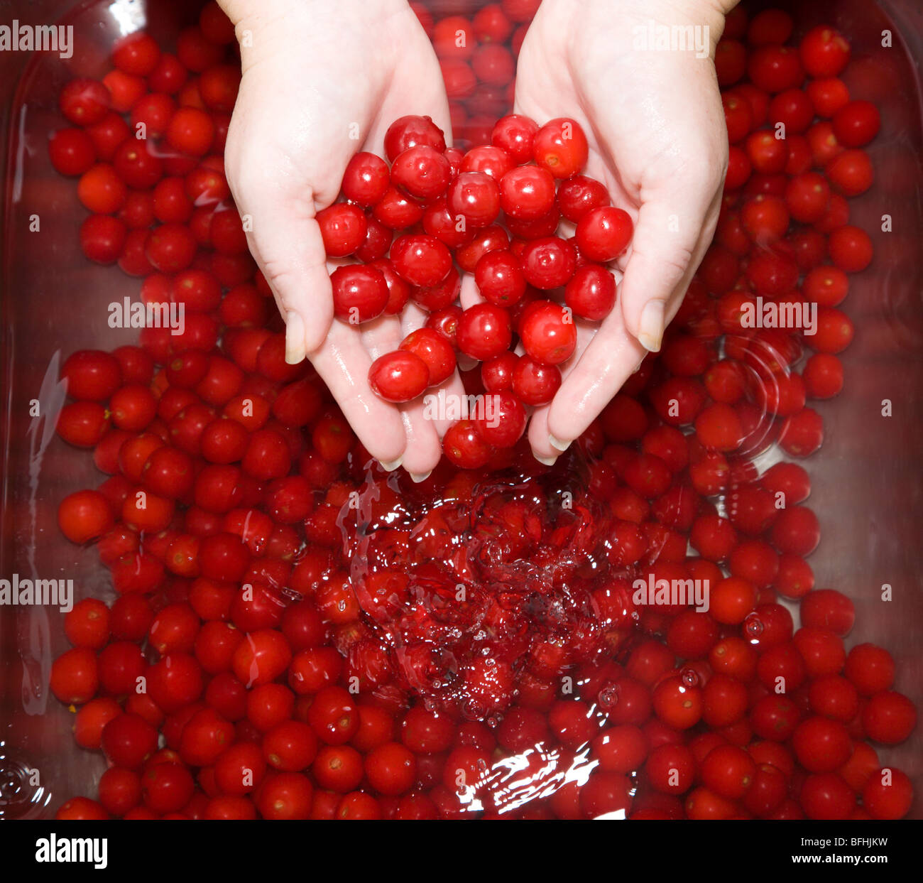 Red tart hi-res stock photography and images - Alamy