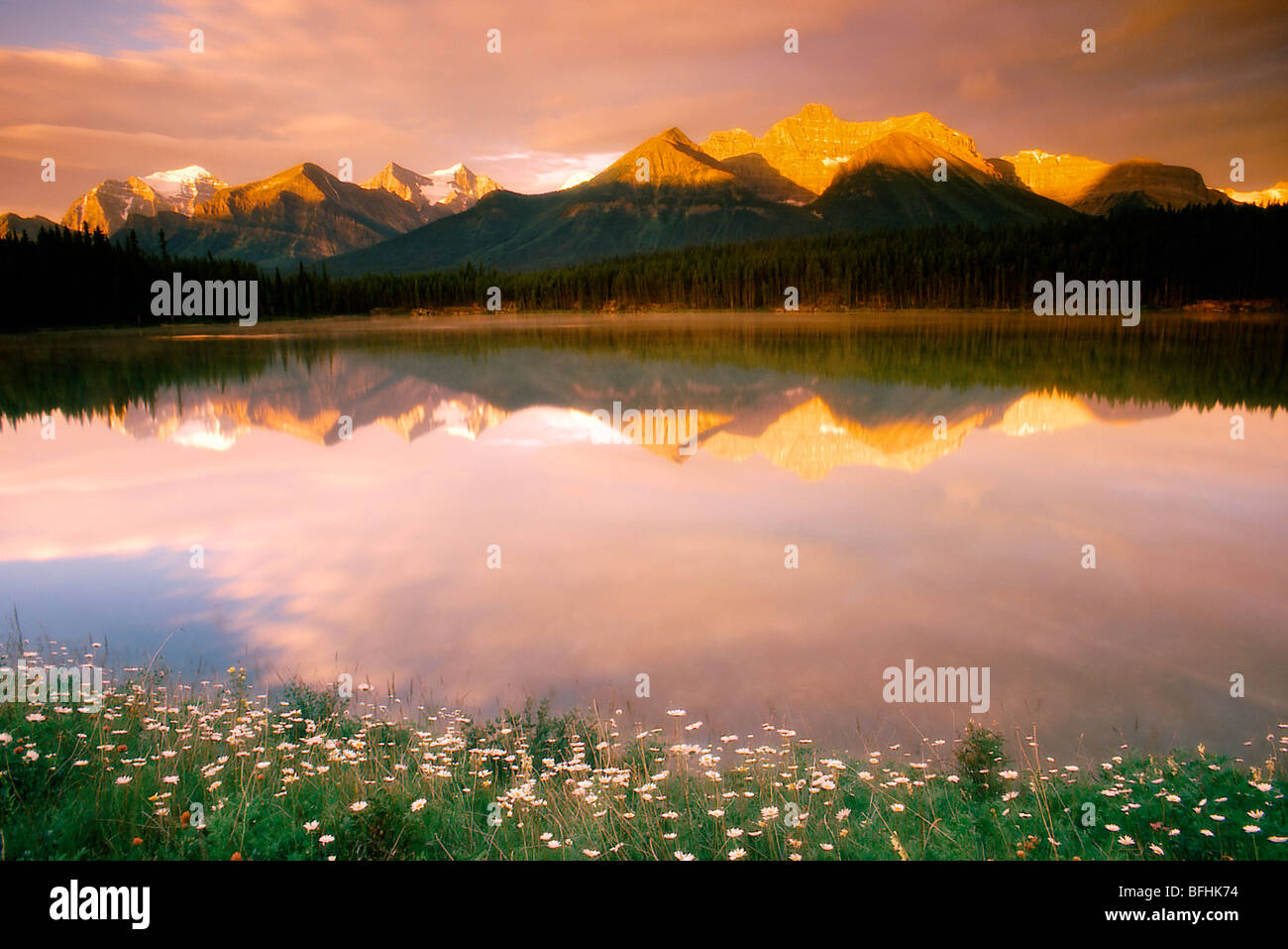 Dawn at Herbert Lake with Mount Niblock, Banff National Park, Alberta ...