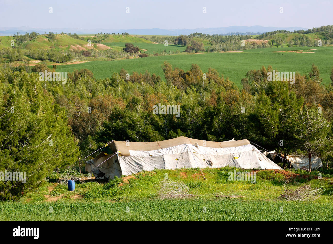 Israel, Negev Desert, Bedouin tent Stock Photo - Alamy
