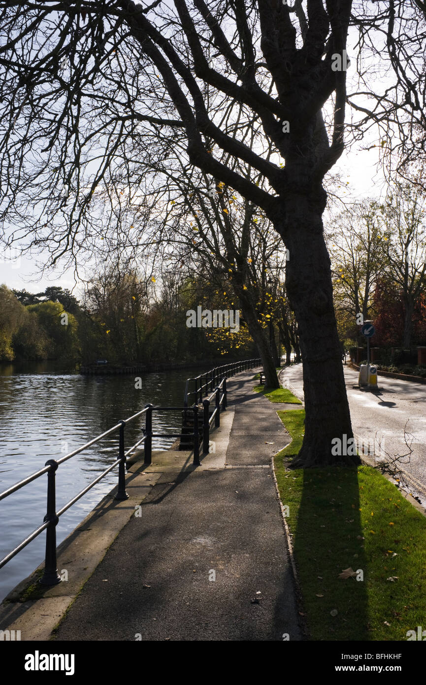 A tree lined road and tarmac pavement by the River Thames between ...