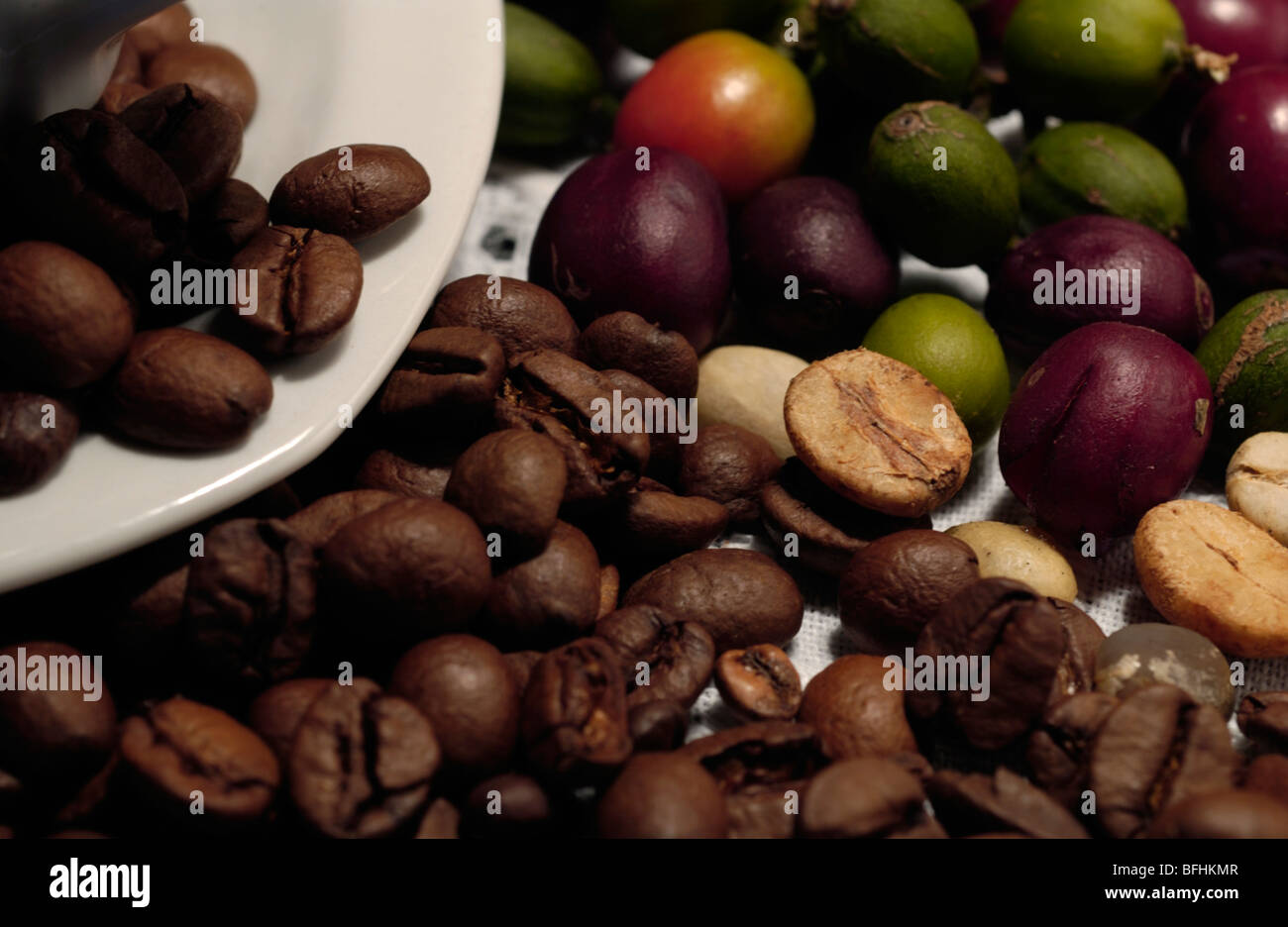Coffee beans, ripe unripe and roasted with leaves and coffee cup Stock ...
