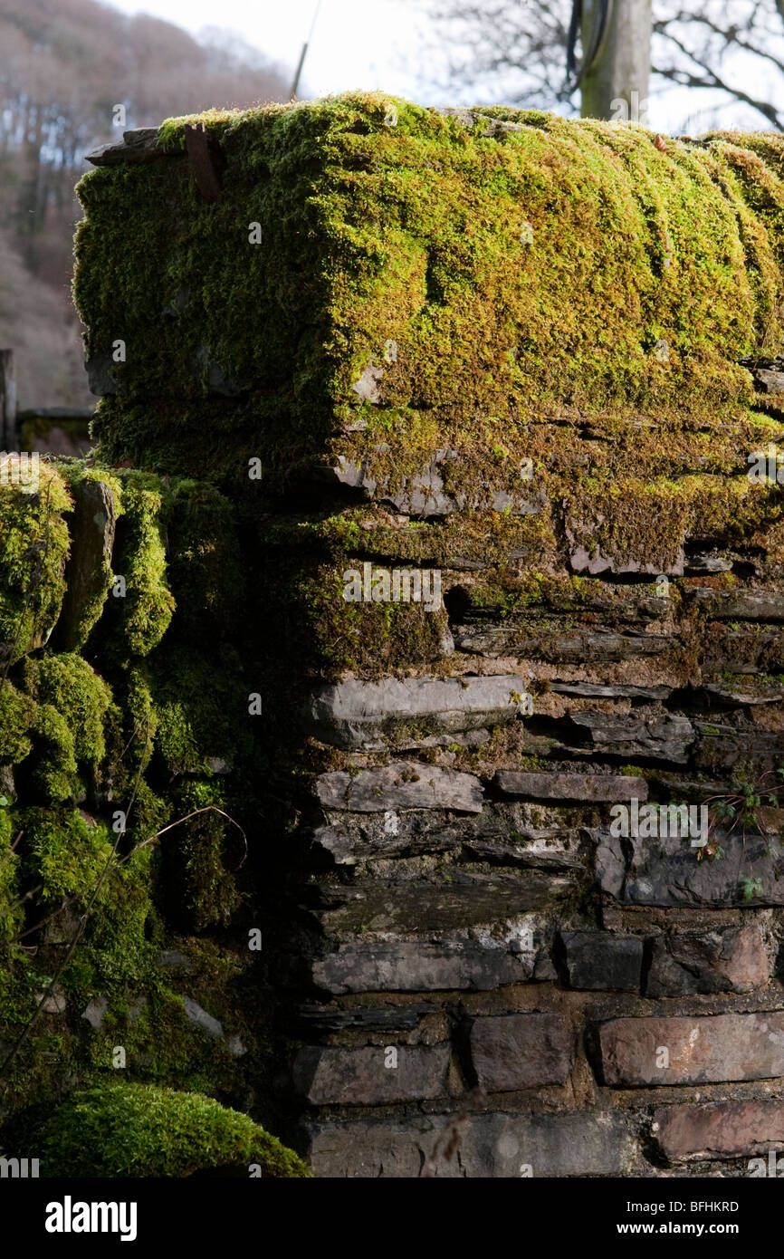 A close up image of a stone wall bridge covered in moss Stock Photo - Alamy