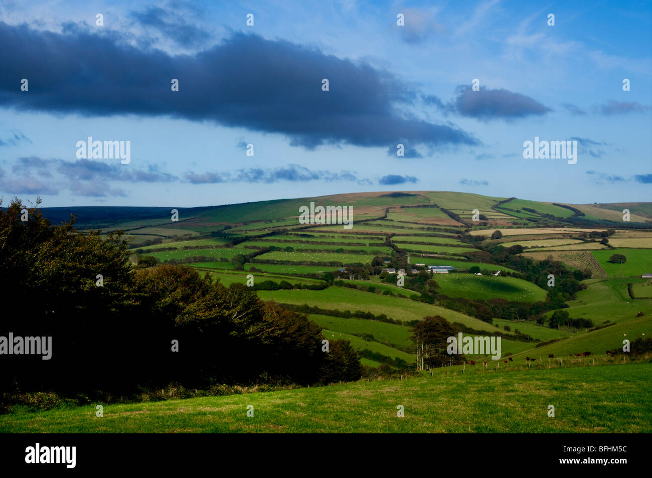 North devon farming hi-res stock photography and images - Alamy