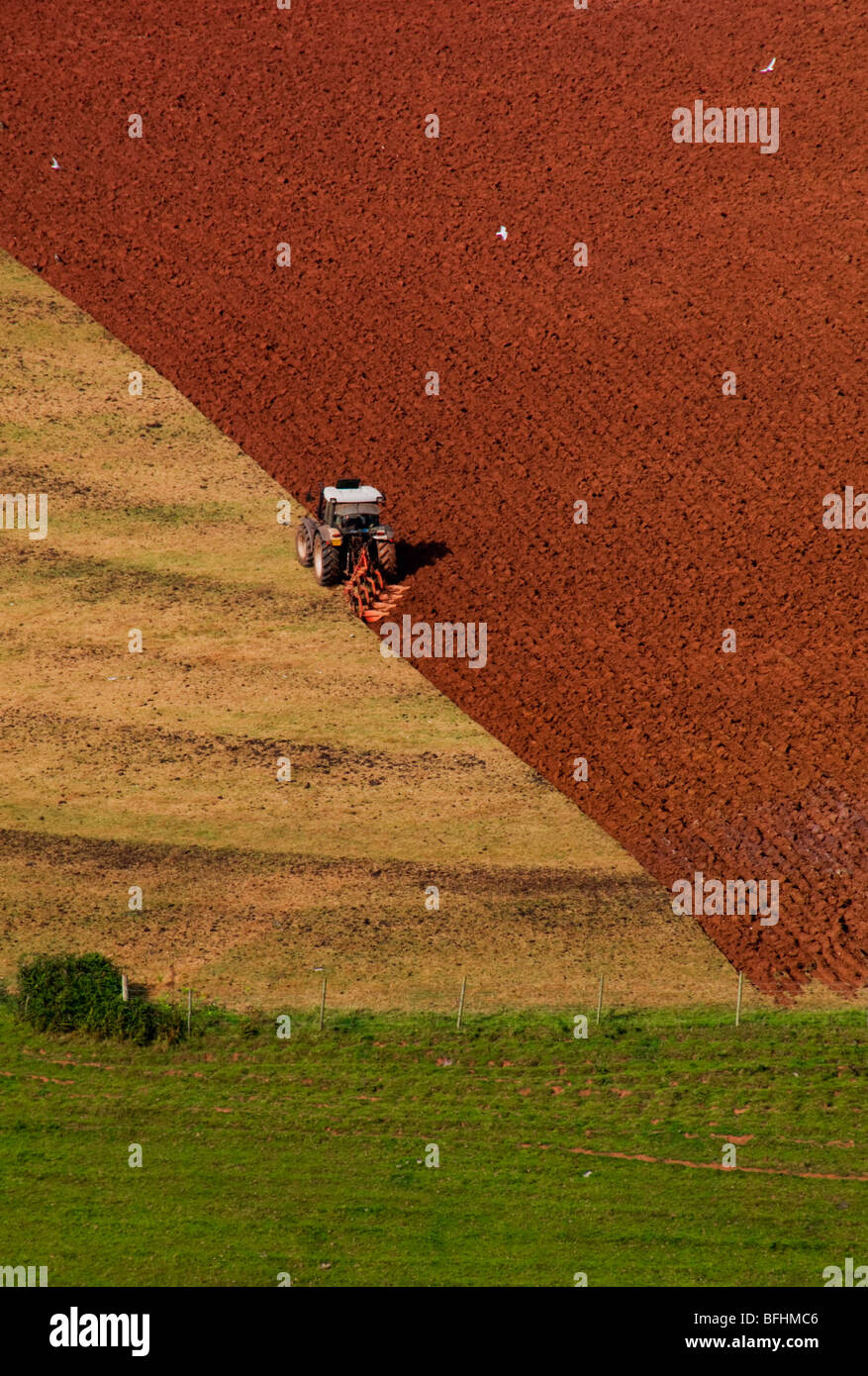 Farming devon hi-res stock photography and images - Alamy