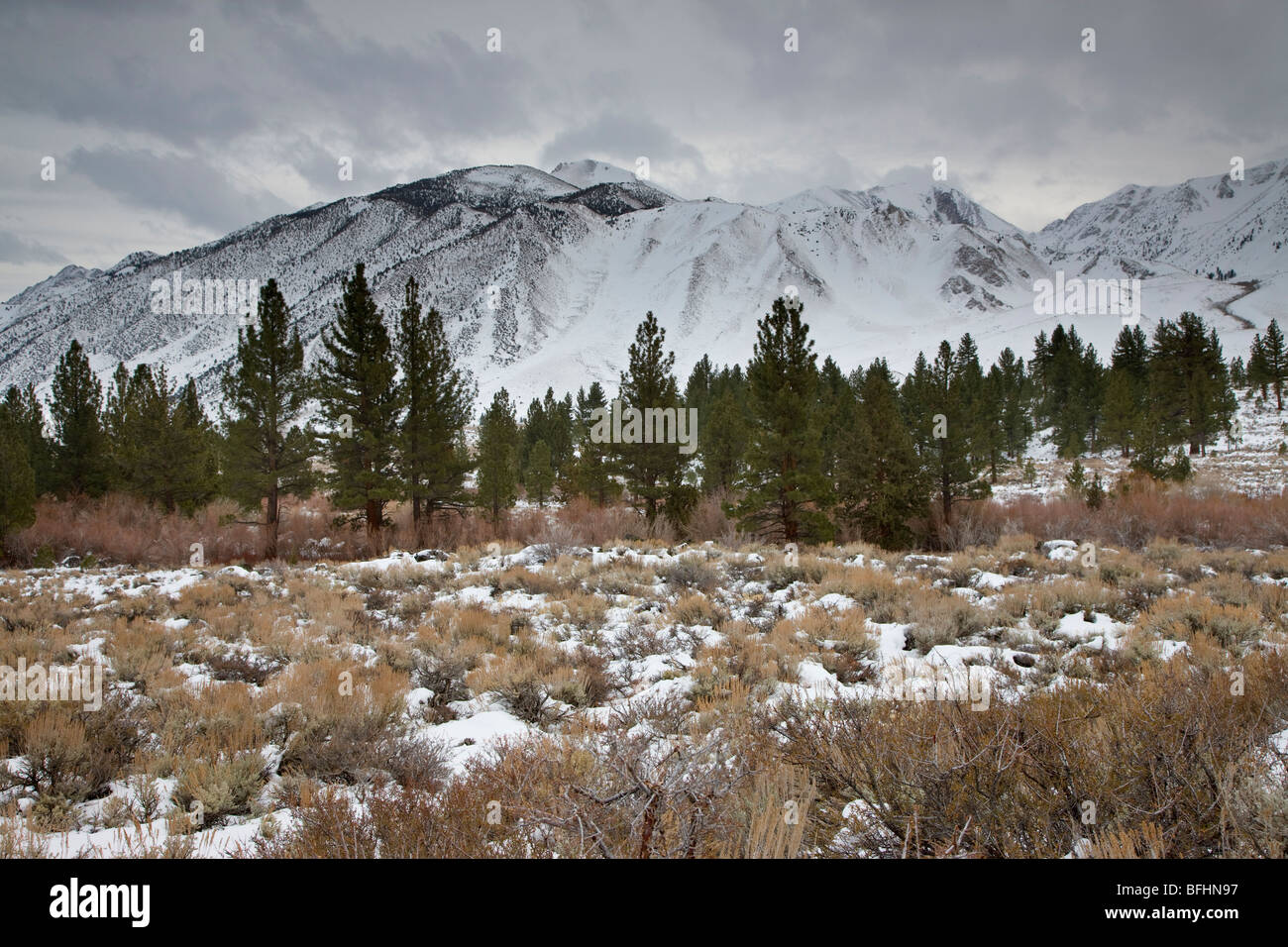 Winter Storm is rolling in Stock Photo - Alamy