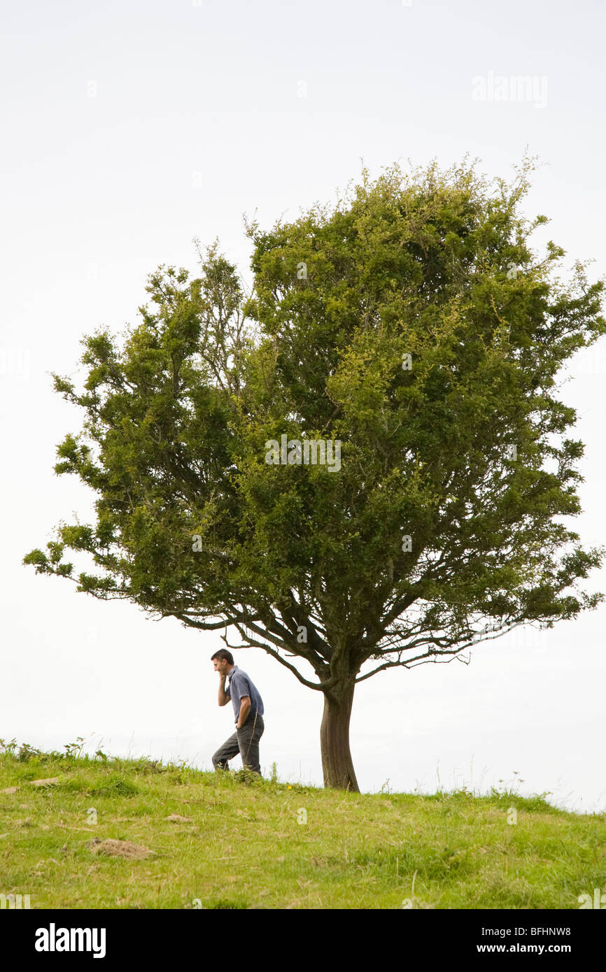 Walk to fairy tree with Butch, Davina and Richie, County Wexford ...