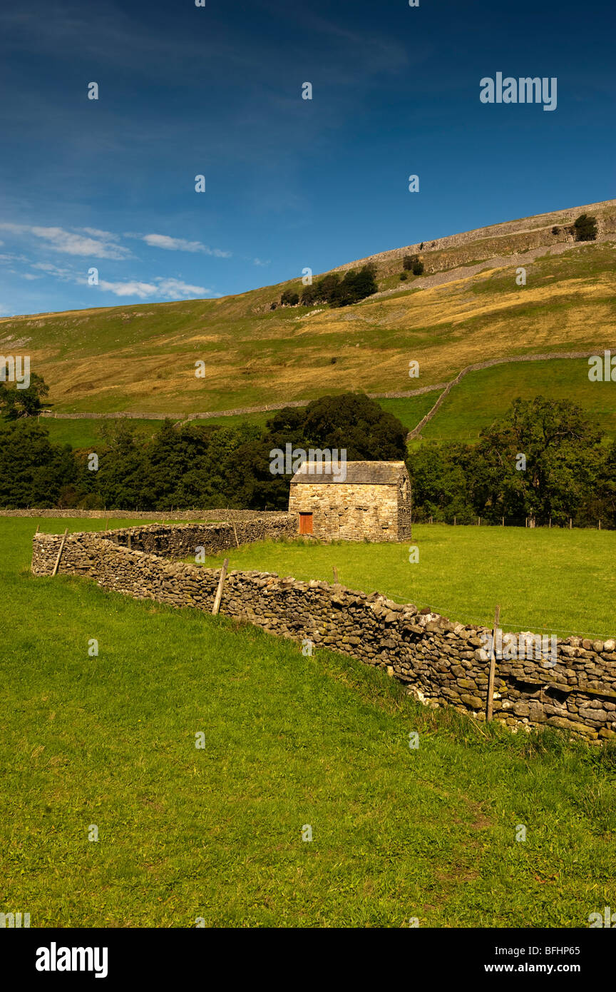 Peaceful scene yorkshire farm in swaledale hi-res stock photography and ...